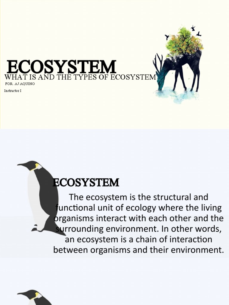 Types of Ecosystem | PDF | Ecosystem | Grassland