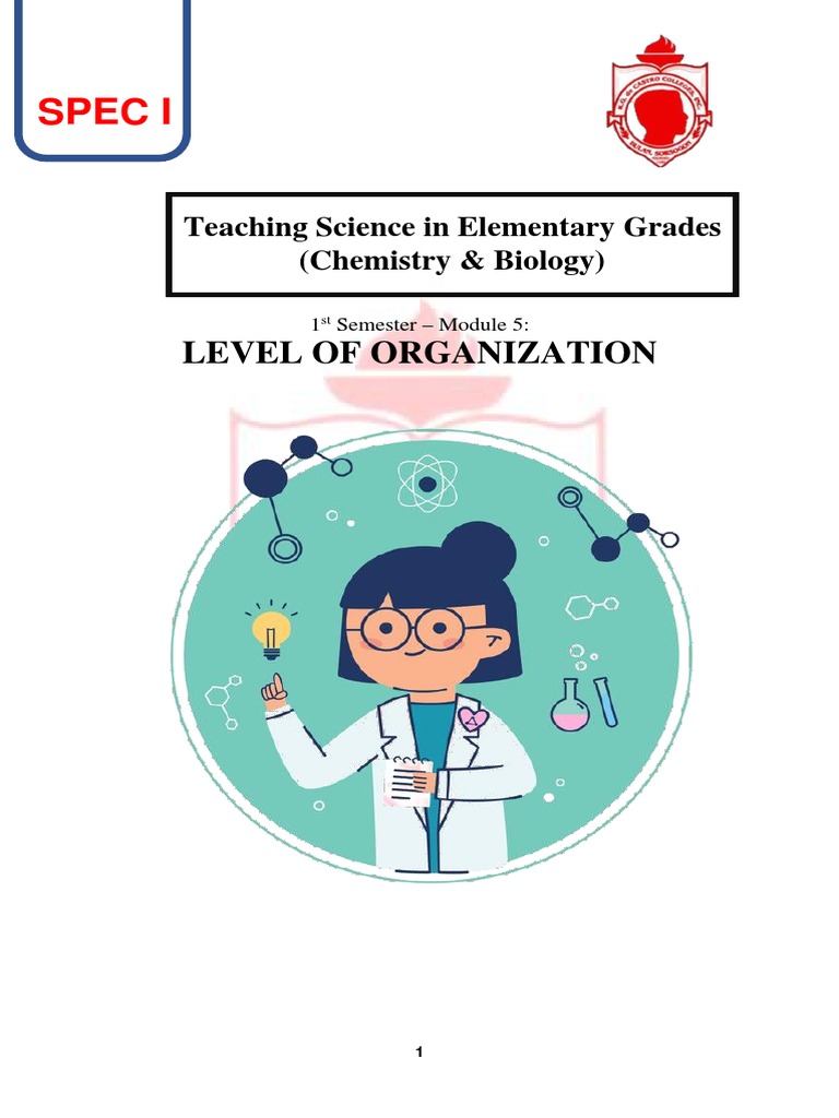 Spec I Task 7 - Level of Organism | PDF | Human Body | Tissue (Biology)