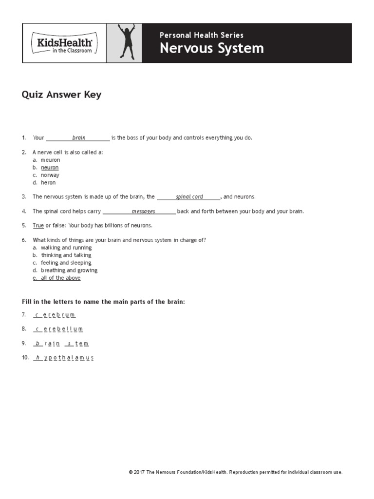 Nervous Quiz Answers | PDF