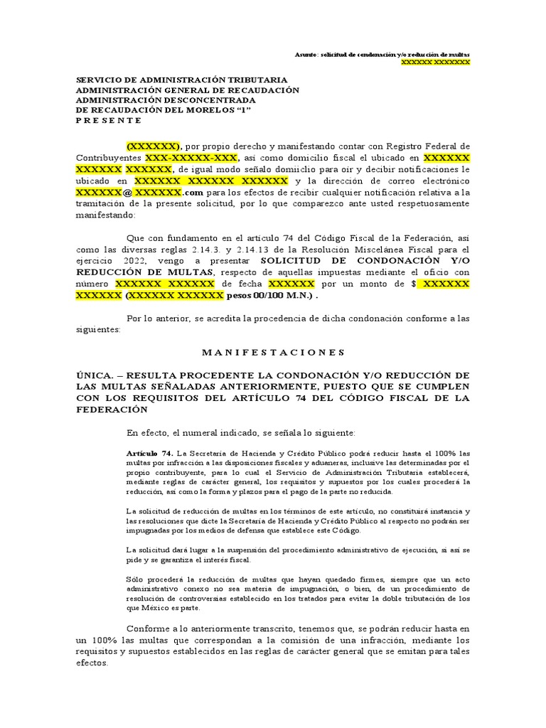 Condonación de Multas Formulario | PDF | Justicia | Crimen y violencia