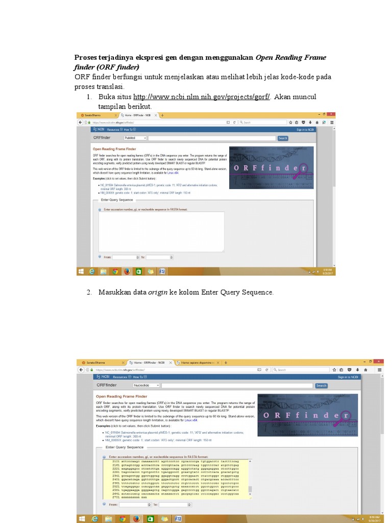 Panduan Menggunakan ORF Finder untuk Ekspresi Gen | PDF | Komputer