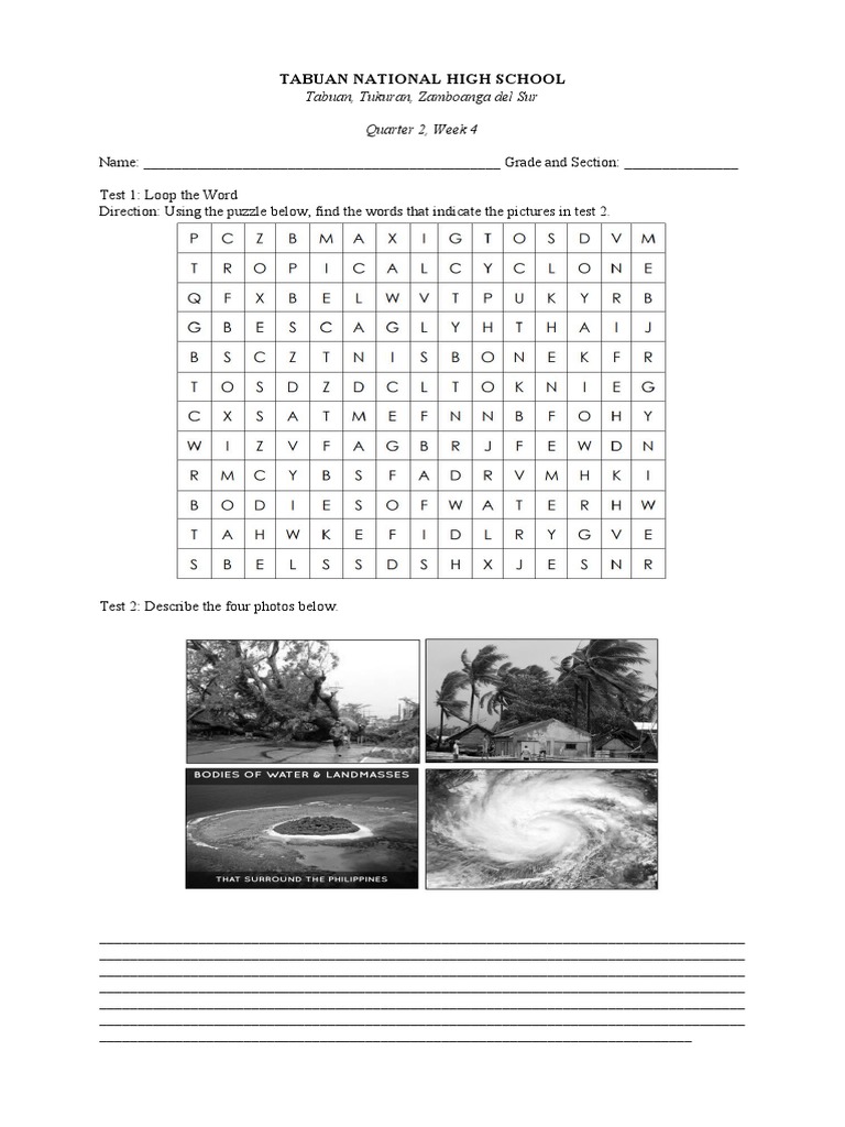 Typhoon Activity (For Science 8) | PDF