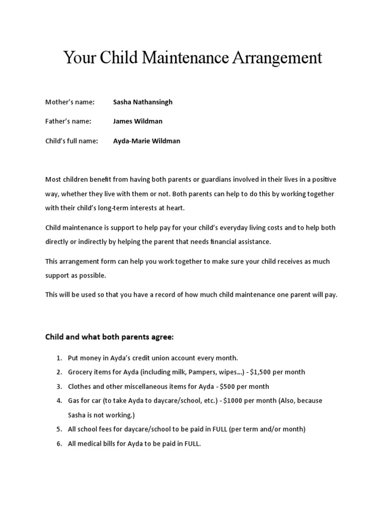 Child Support Document | PDF | Child Support | Child Care