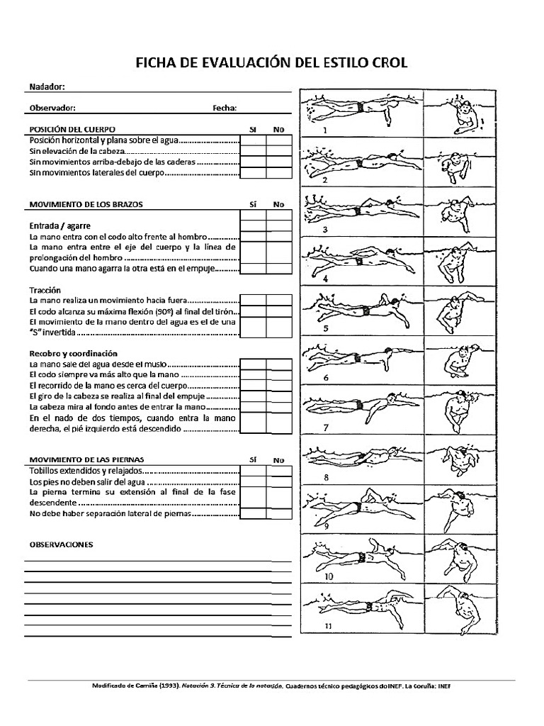 Estilo Crol | PDF