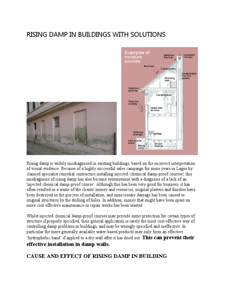 Rising Damp in Buildings With Solutions | PDF | Architectural Design ...