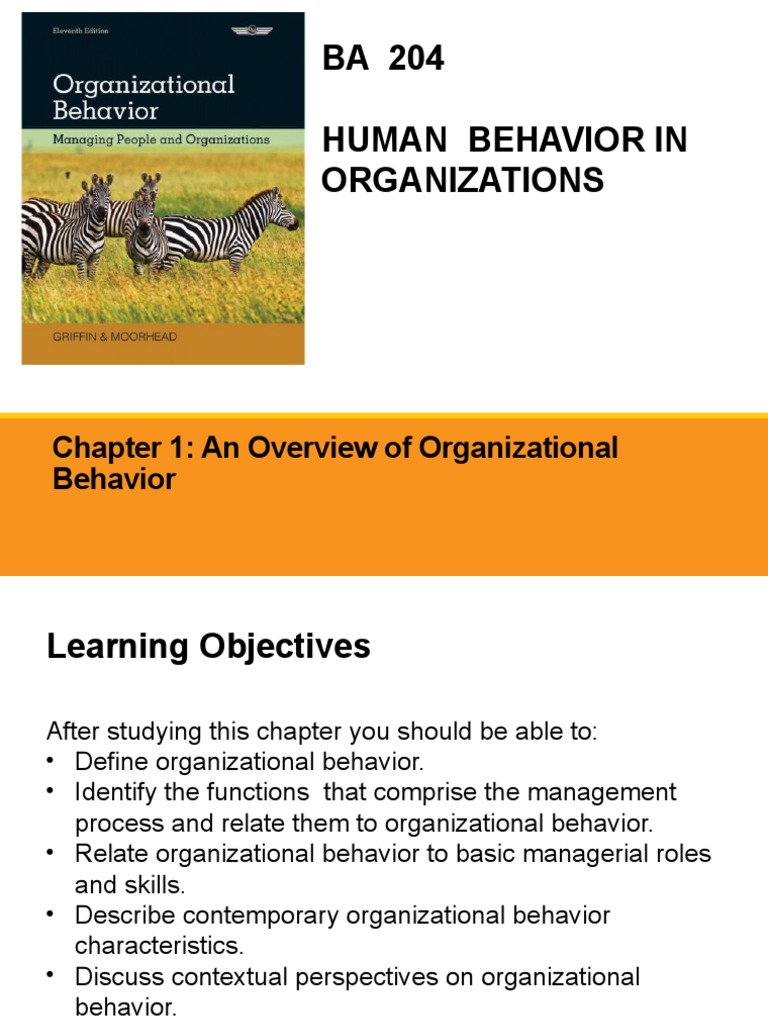 Overview of Organizational Behavior | PDF | Organizational Behavior ...
