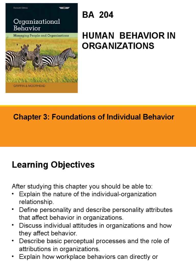 Chapter 3 - Foundations of Individual Behavior | PDF | Attitude ...