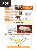 Pig Medication Schedule | PDF