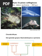 Simulado 03 - Português - 3º Ano (Blog Do Prof. Adonis) | PDF | Juvenil