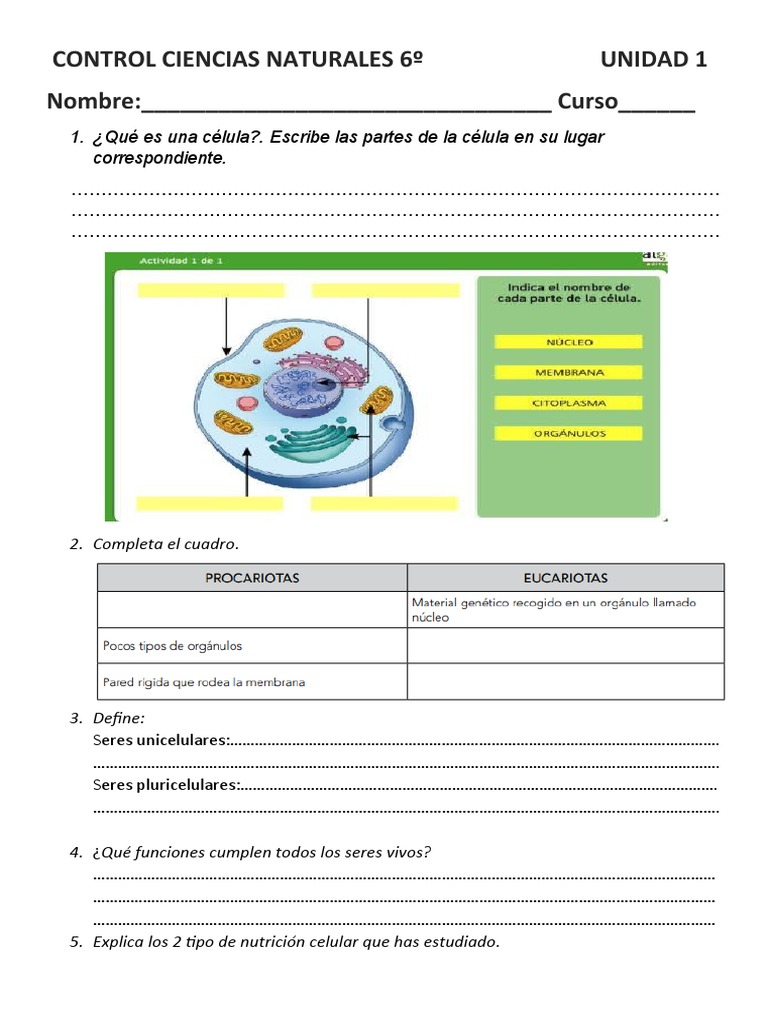 Introducción a la estructura y función celular: una guía de trabajo ...