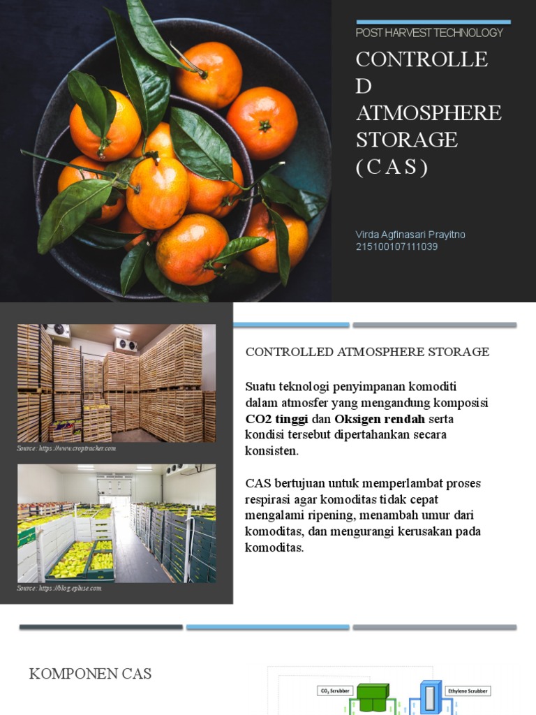 Controlled Atmosphere Storage | PDF