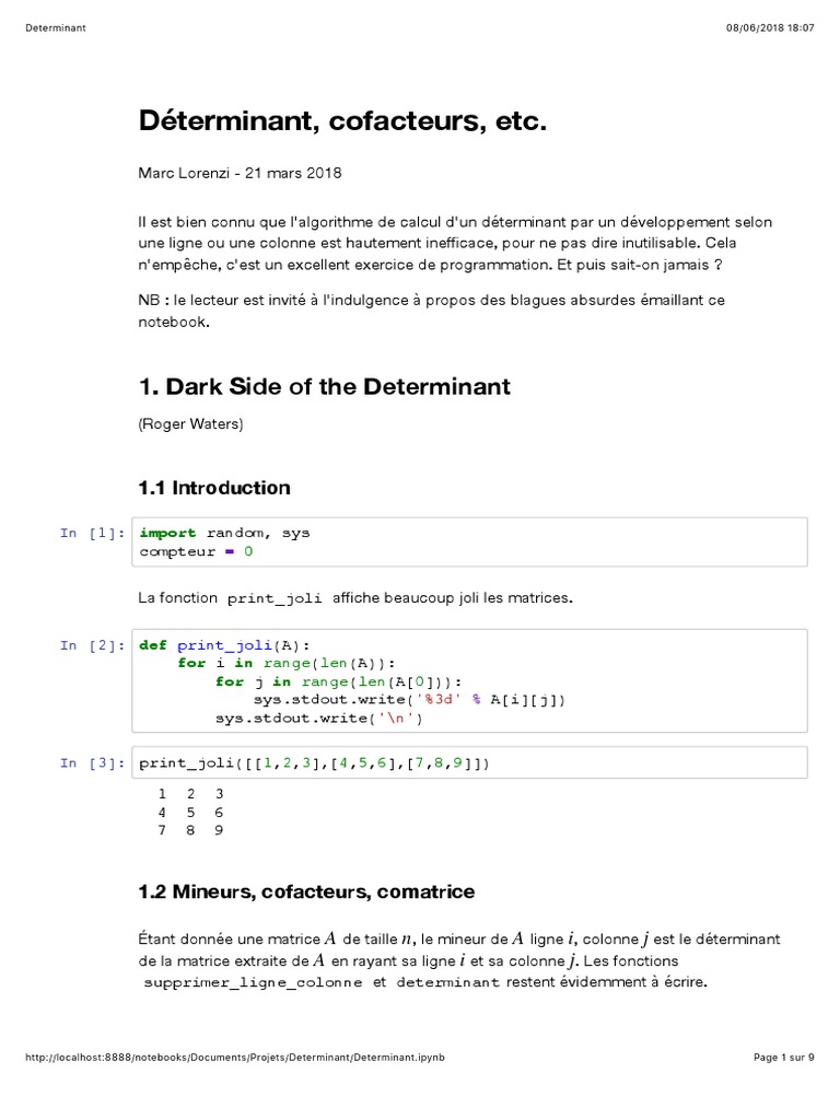 Calcul du Déterminant en Python | PDF