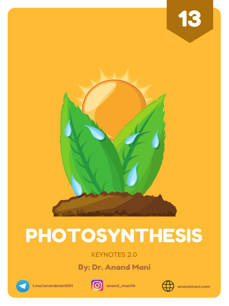 Photosynthesis | PDF | Photosynthesis | Chlorophyll
