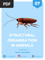 Cockroach Ncert | PDF