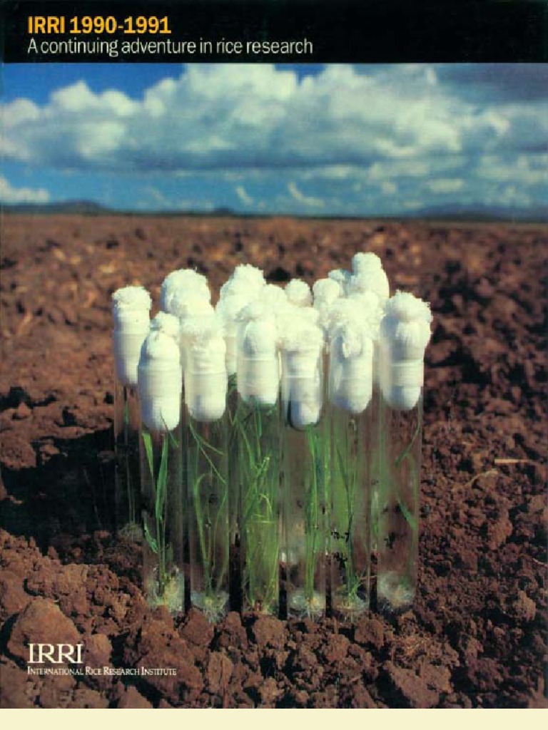 IRRI Annual Report 1990-1991 | PDF | Art