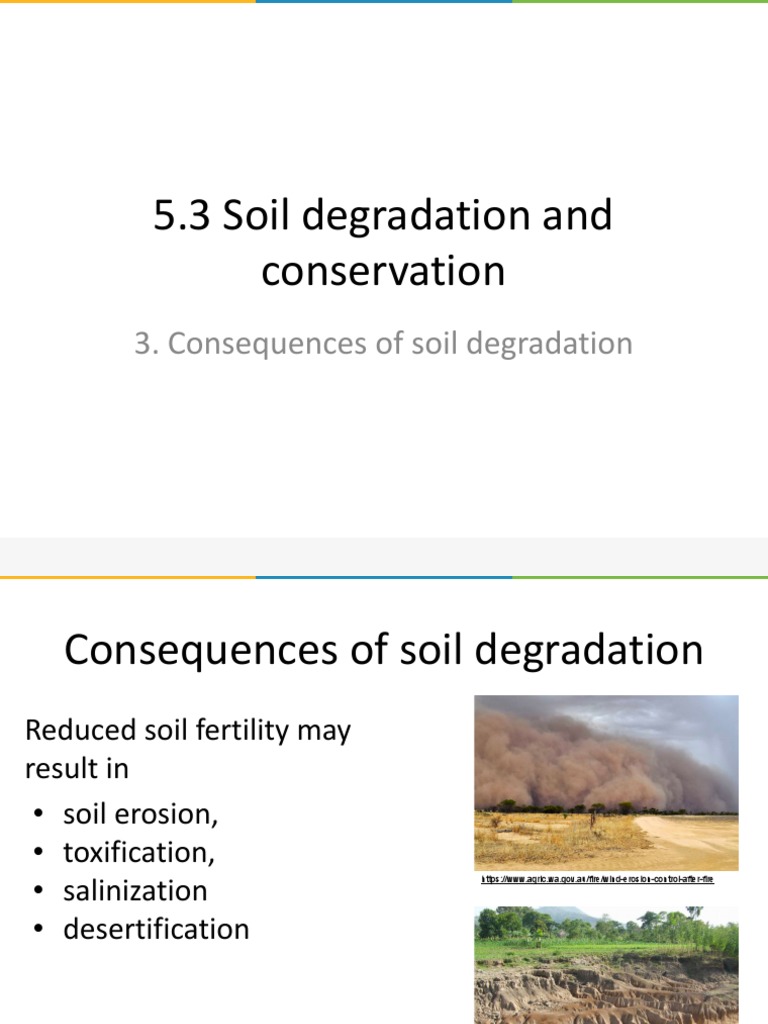 Consequences of Soil Degradation: Reduced Fertility Can Lead to Erosion ...