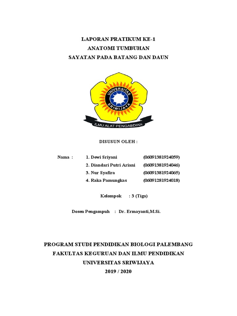 Sayatan Batang dan Daun Tumbuhan | PDF