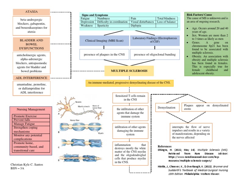 Multiple Sclerosis Risk Factors & Management | PDF | Multiple Sclerosis | Myelin