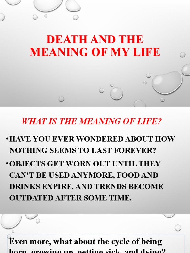 Death and The Meaning of My Life | PDF | Suffering | Happiness