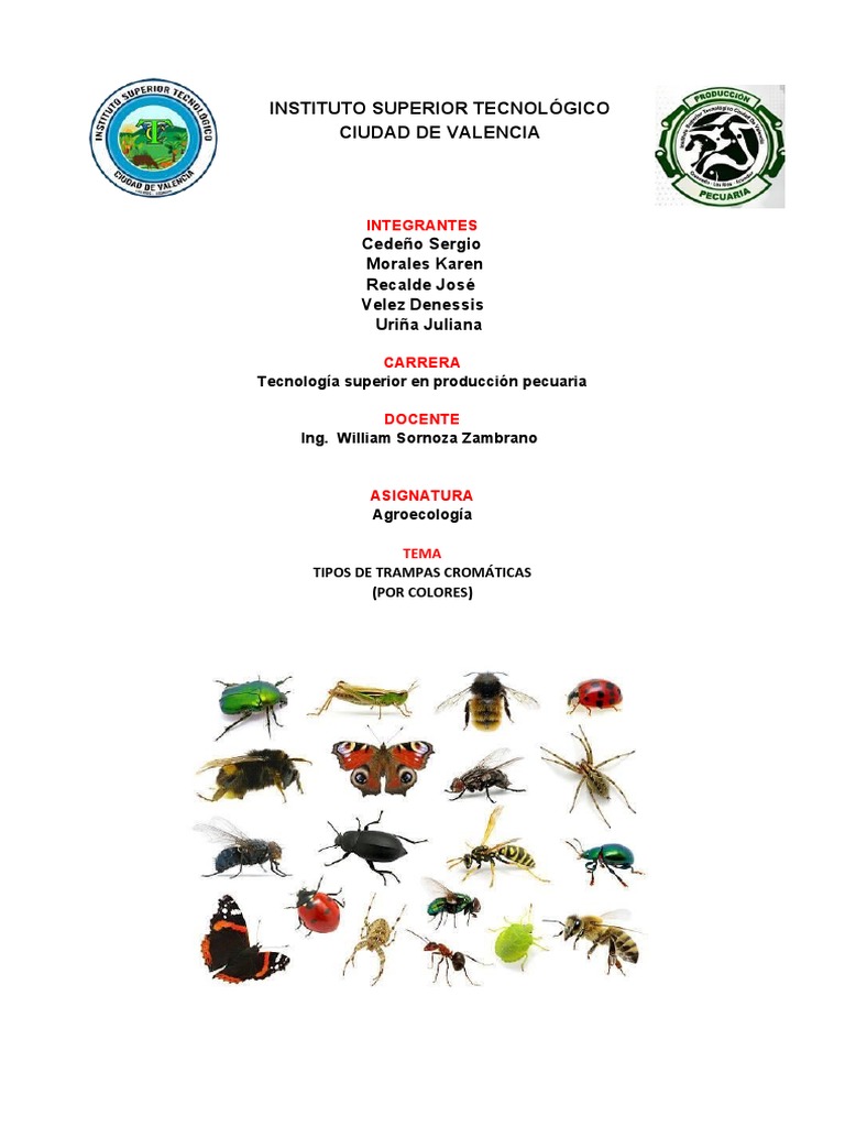 Tipos de Trampas Cromáticas para Insectos | PDF | Color | Adhesivo