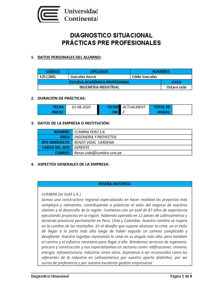 Formato de Diagnostico Situacional | PDF | Presupuesto | Perú