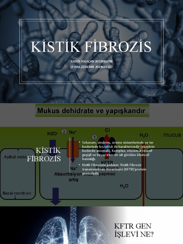 Kistik Fibrozis | PDF