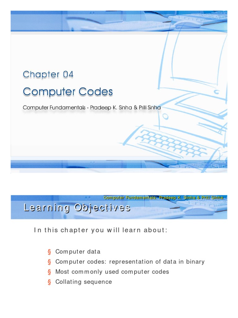 Chapter 04-Computer Codes | PDF | Business