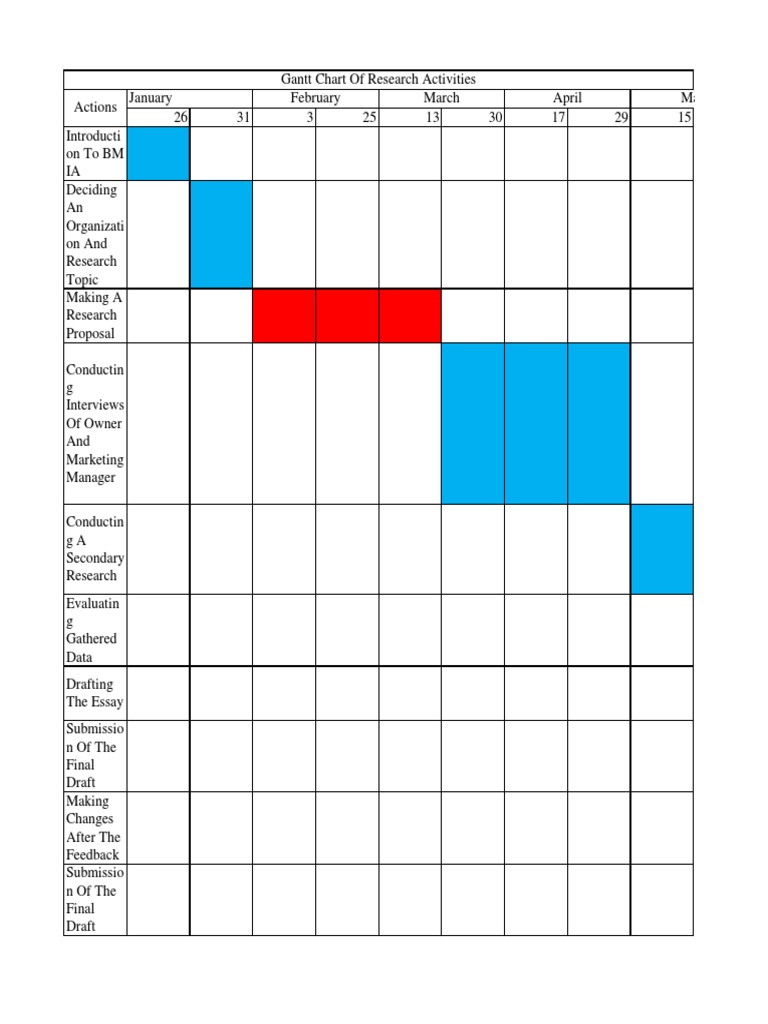 BM Action Plan | PDF