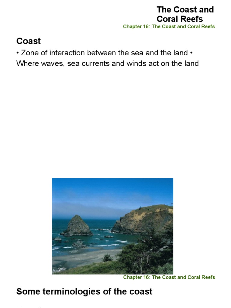 The Coast and Coral Reefs | PDF | Beach | Coral Reef