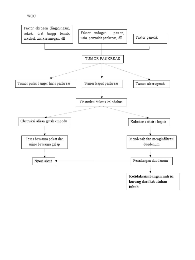Pathway Tumor Pankreas | PDF