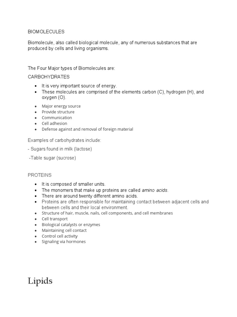 The Four Major Biomolecule Classes: Carbohydrates, Proteins, Lipids ...