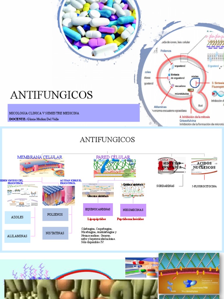 Antifungicos y Mecanismos de Resistencia 2023 - Medicina | PDF ...