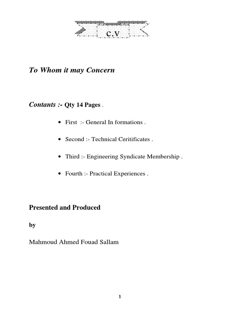 English C.v-Eng. Mahmoud Sallam | PDF | Egypt | Engineering
