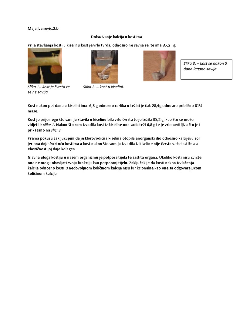 Maja Ivanović, 2.b | PDF