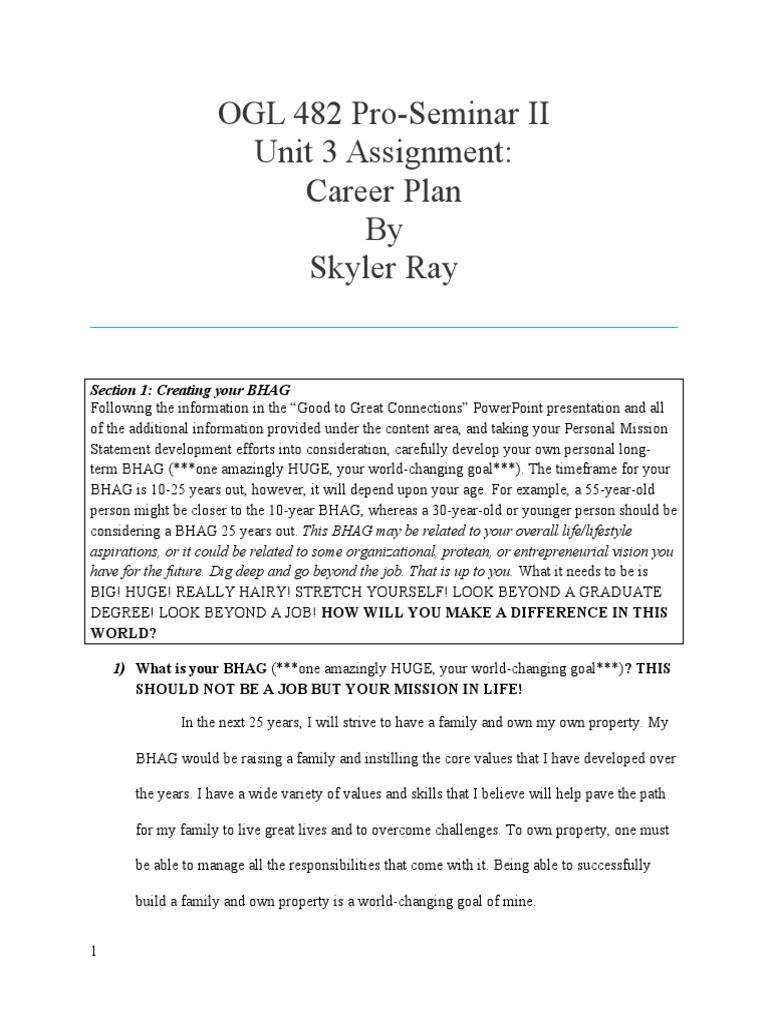 Unit 3 Module Career Plan | PDF | Goal | Leadership