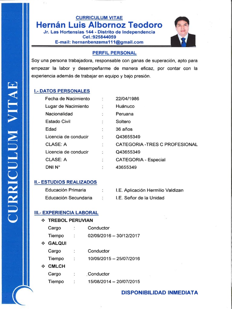 CV Hernan Albornoz 2023 | PDF