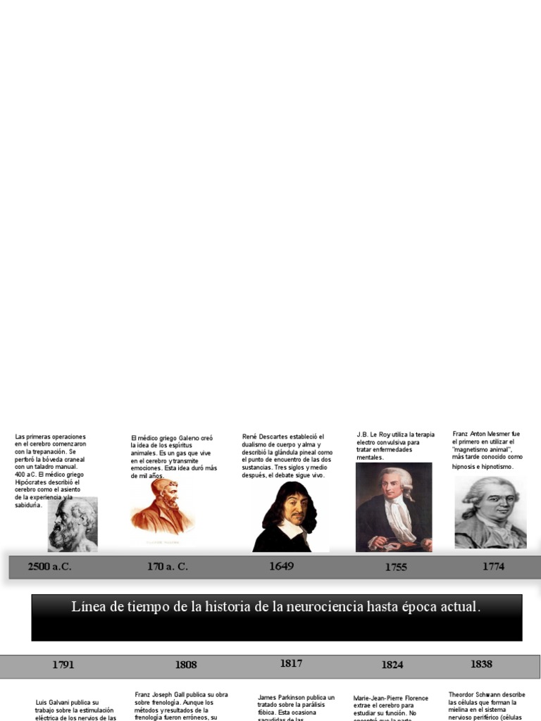 Linea de Tiempo de Neurociencias | PDF | Cerebro | Neurociencia