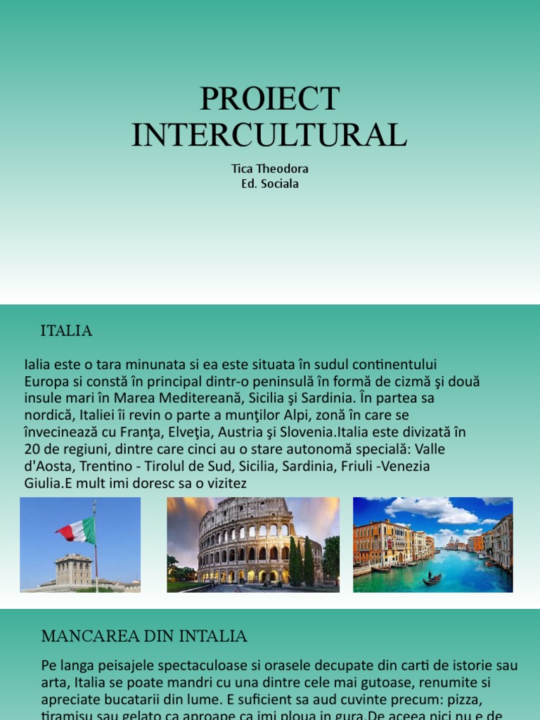 Proiect Intercultural Ed Sociala | PDF