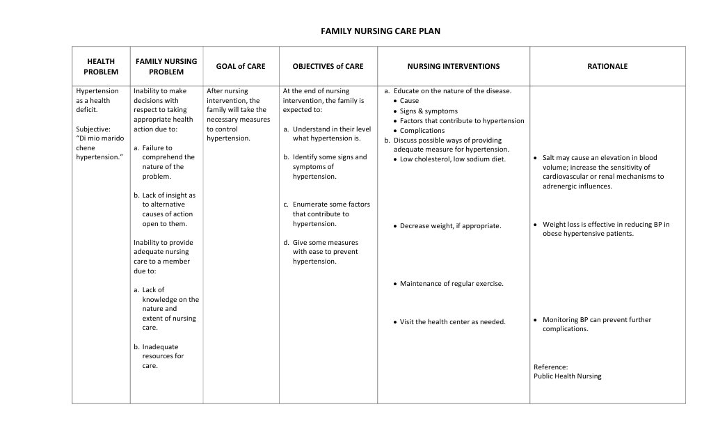 Family Nursing Care Plan | PDF