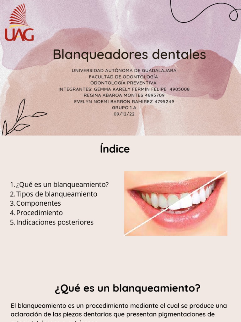 Presentación de Perfil de La Empresa Marca Negocio Agencia Acuarelas y Líneas Orgánicas Beige y ...