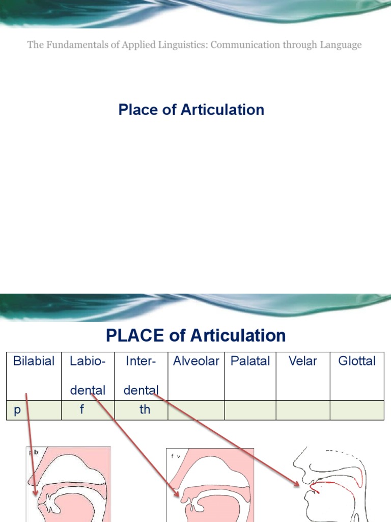 Phonology Part 2 | PDF | Phonetics | Human Voice