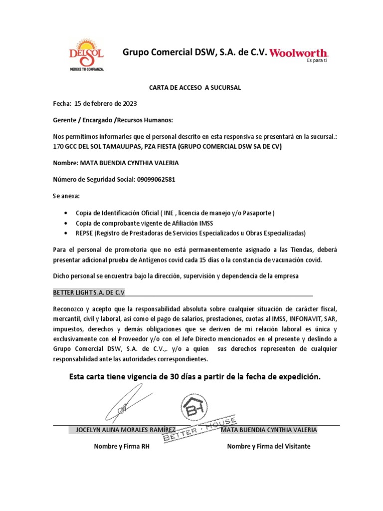 Grupo Comercial Dsw Pdf