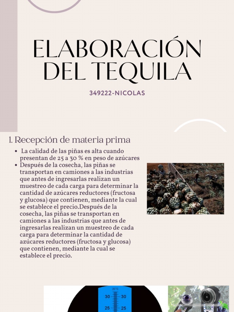 Elaboracion Del TEQUILA | PDF