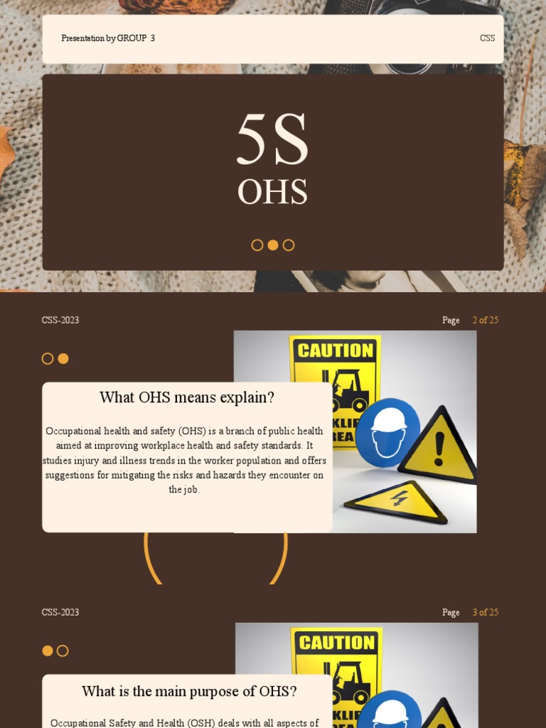 5S Principles in Occupational Health Safety | PDF | Occupational Safety ...