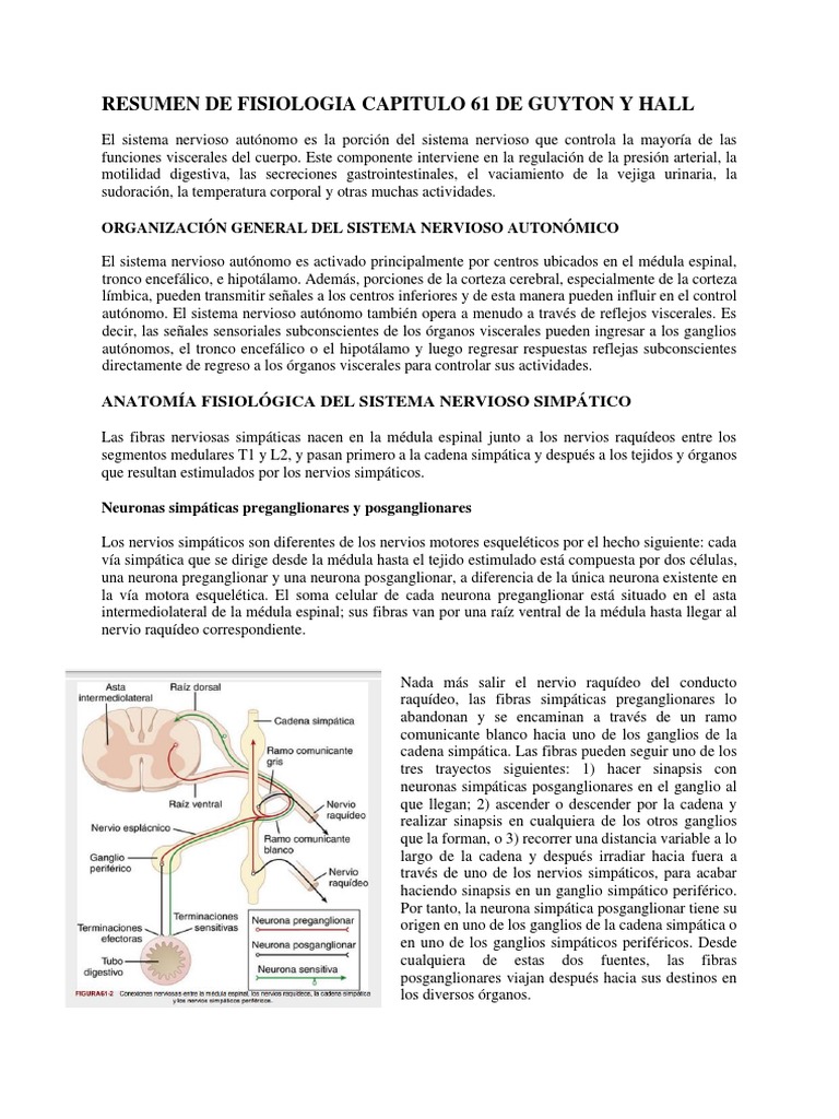 Resumen-Capitulo-61 Guyton | PDF