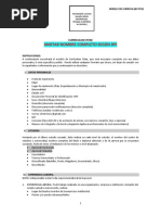 Modelo de Currículum Vitae Nominal | PDF