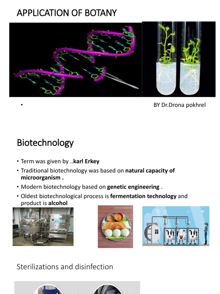 Botany Applications by Karl Erkey | PDF | Molecular Cloning ...