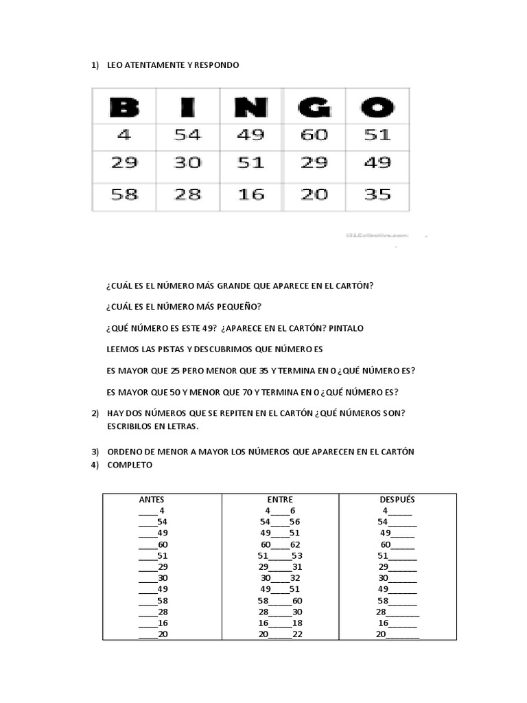 Bingo Mate | PDF