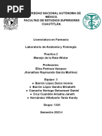 Anatomía y Cuidado de la Rata Wistar | PDF