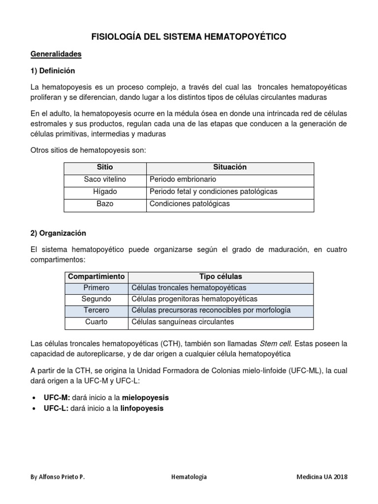 1) Fisiología Del Sistema Hematopoyético | PDF
